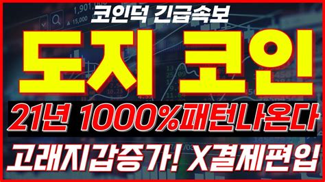 도지코인 💥21년 1000패턴 나온다~고래지갑증가와 X결제수단 편입가능성 높다~ 머스크세력 목표가 Xxx 도지 코인 전망