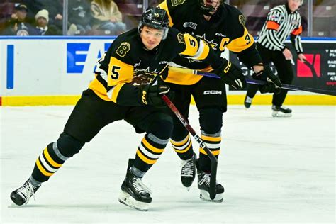 Wolves Acquire Big Defender Noah Van Vliet From Brantford Sudbury News