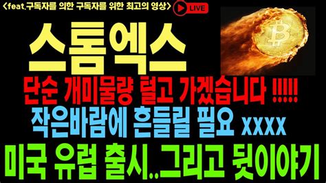 스톰엑스 스톰엑스코인 스톰엑스코인전망 Stmx Btc 코인전망 비트코인 이더리움 도지코인 Youtube