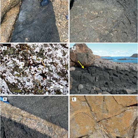 Source Region Discrimination Diagrams For Daly Head Metadolerite