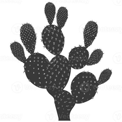 Ai Generated Silhouette Cactus Plant Black Color Only 40737145 Png