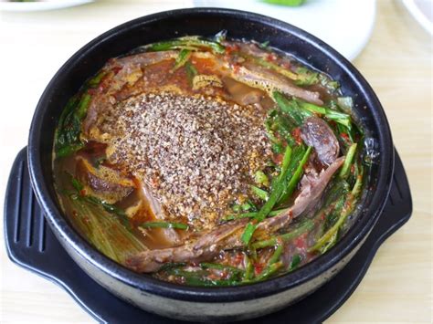 부영보신탕 경기도 의왕 보신탕 영양탕 네이버 블로그