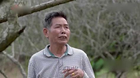 舌尖上的中国客家擂茶似茶似粥擂出来的茶味道复杂又美味 腾讯视频
