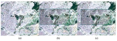 Remote Sensing Special Issue Quantitative Inversion And Validation