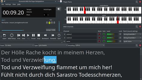 Dmidiplayer Flathub
