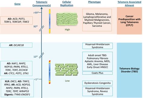 British Journal Of Haematology Wiley Online Library