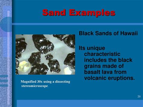 Forensic Science Physical Evidence Ppt Download