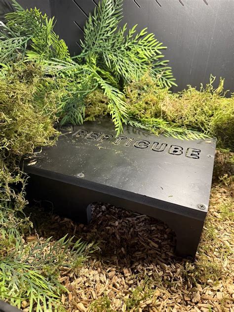 Reptile Hides For Enclosures Naturalistic Hides For Stress Reduction Repticube