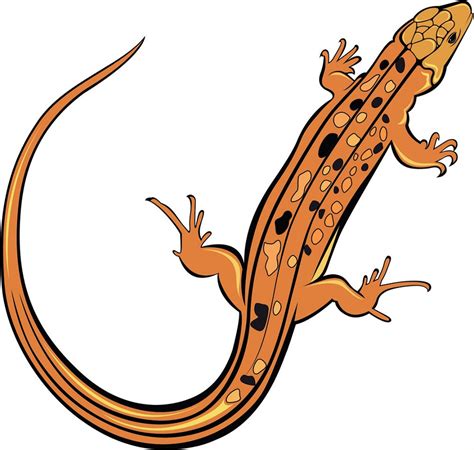 Gecko Lizard Clipartworld