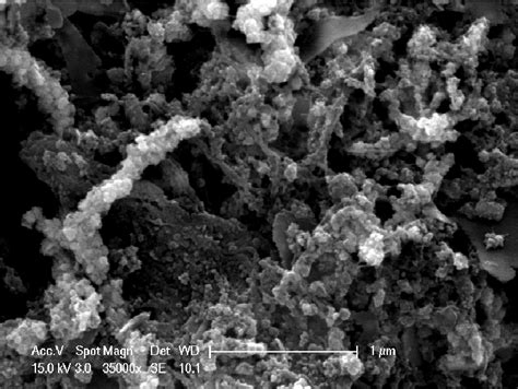 Figure 1 From Single Walled Carbon Nanotube Reinforced Copper Matrix