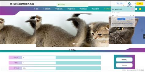 Pythonflask计算机毕业设计的宠物领养系统（程序开题论文） Csdn博客