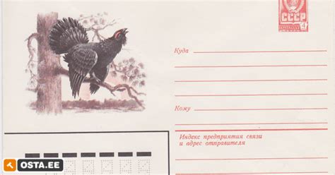 1982 Fauna Metsis Lind Nsvl Tervikasi 209095176 Osta Ee