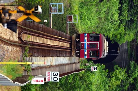 ナガラ501 いもむしと赤い電車たちⅡ