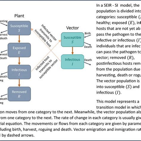 A Map Showing The Cassava Growing Regions In The World According To Download Scientific