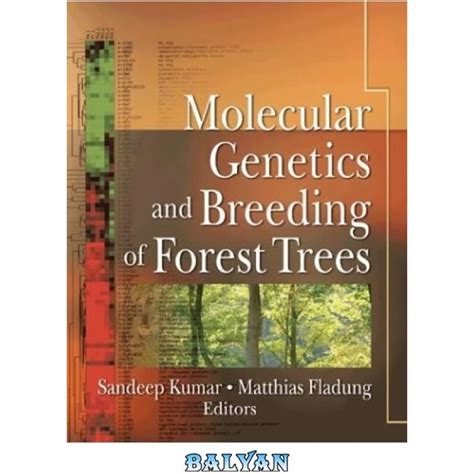 خرید و قیمت دانلود کتاب Molecular Genetics And Breeding Of Forest Trees