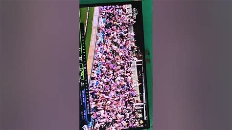 Cricket Match Youtube