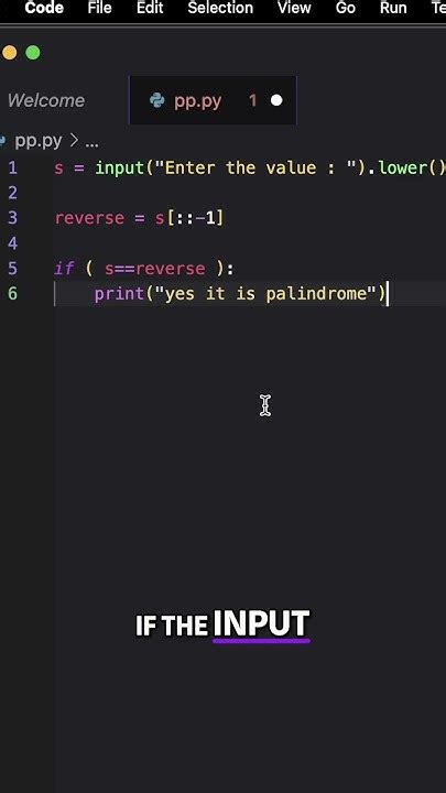 palindrome strings in python python youtube