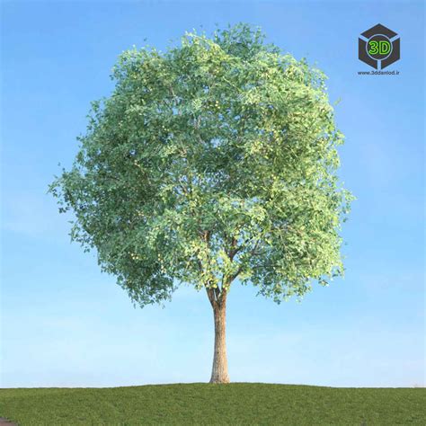 دانلود Evermotion Archmodels Vol 113