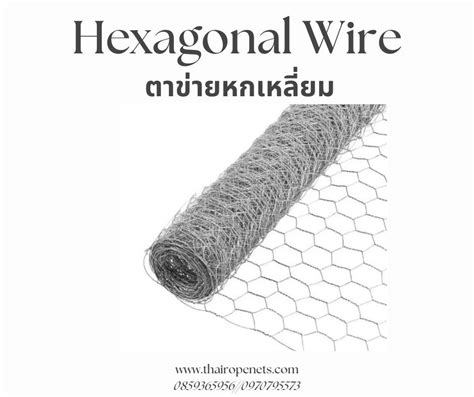 Hexagonal Wire ตาข่ายหกเหลี่ยม ตาข่ายลวดกรงไก่ ตะแกรงเหล็กชุดเชื่อมแน่น