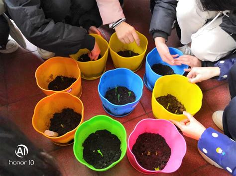 感受生命成长更生七年级积极开展生物课外实践活动 乐山市更生学校官方网站