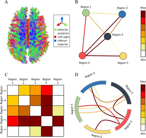 A Schematic Representation Of The Canonical Microcircuit Download Scientific Diagram