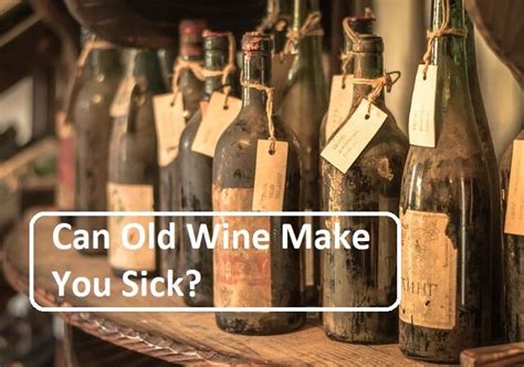 Can Old Wine Make You Sick Tips To Know Tannat Wine Cheese