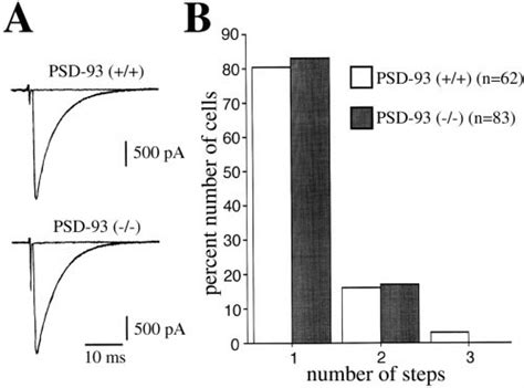 Climbing Fiber Innervation Of Purkinje Cells A Epscs Elicited By