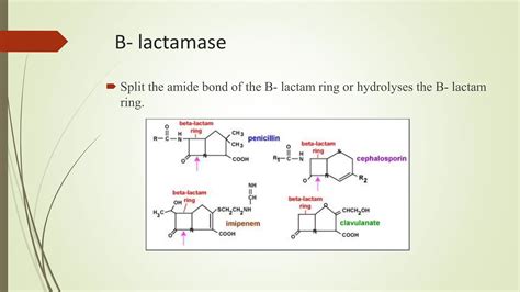 Beta Lactamases Pptx For Educational Purposes Pptx