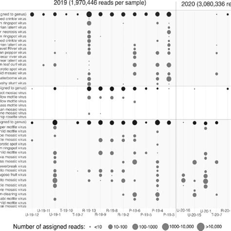 Classification Of Plant Virus Reads For Three Most Abundant Plant