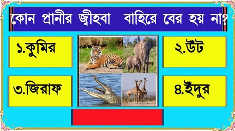 Top Ten Question And Answer Ips Ias Question Facts Gk Gkbangla