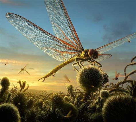 Art Illustration Prehistoric Insects Meganeura Large Nerves
