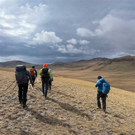 William Anslow On Linkedin Consulting And Analytics