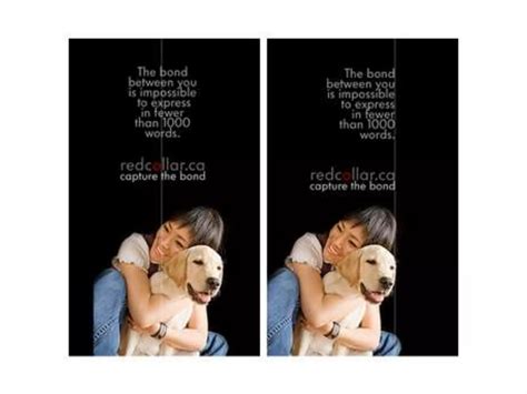 Presentation Design Загварлаг Presentation хэрхэн бэлдэх вэ Pptx