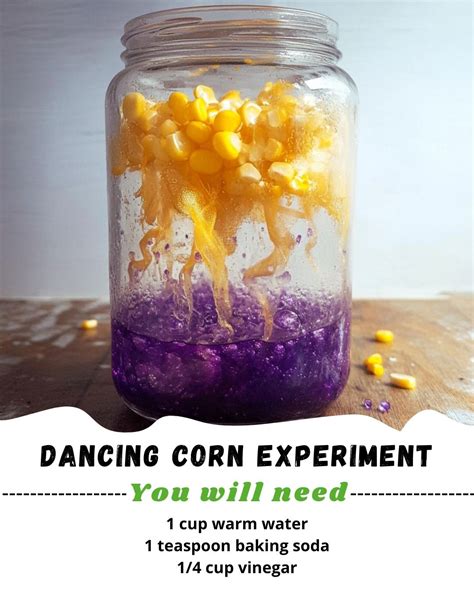 Ella Dancing Corn Science Experiment Ingredients 1 Cup Warm Water 1