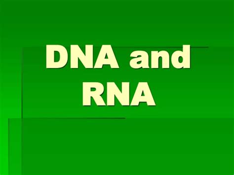 PPT DNA And RNA Structures And Functions PowerPoint Presentation Free Download ID 9569169