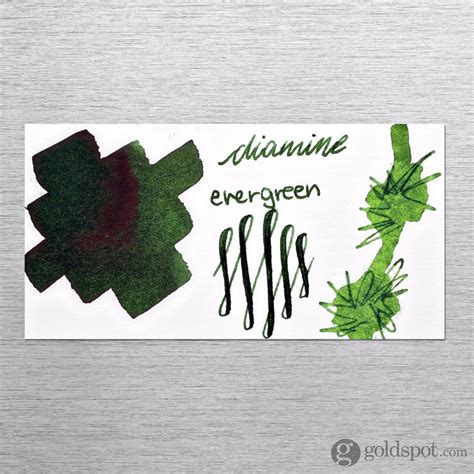 Diamine Classic Bottled Ink In Evergreen Goldspot Pens