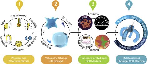 Schematic Illustration Of Stimuli Responsive Hydrogels Enabled Various