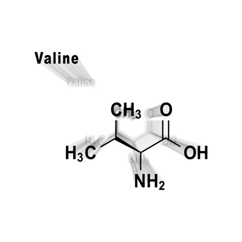 Premium Photo Valine L Valine Val V Amino Acid Chemical
