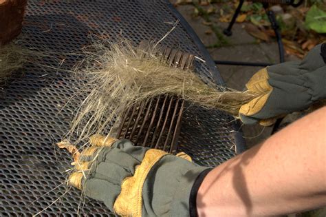 The Inconsequential Blogger Flax To Linen Experiment Breaking