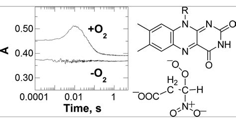 Evidence For A Transient Peroxynitro Acid In The Reaction Catalyzed By Nitronate Monooxygenase