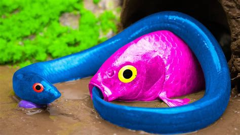 Catfish Stop Motion Asmr Koi Survival The Creator Cooking Funny