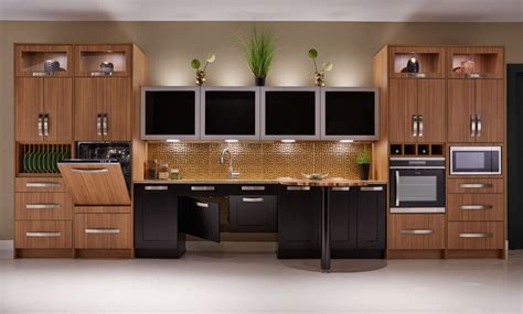 Inspired Ada Kitchen Crystal Cabinets