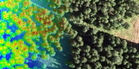 Mapping Of Drought Stress In Spruce Using Remote Sensing Forestinventoryno