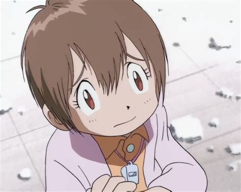 Kari Kamiya Digimon Adventure Digimon Anime