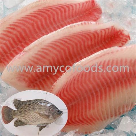 Beautiful Frozen Tilapia Fillet Co Treated Amyco China Trading