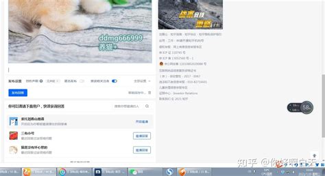 对象姐姐养的成年公猫老是打我养的猫怎么办？ 知乎