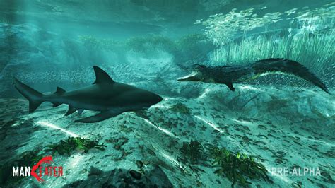 Jaws Unleashed In New Images From Video Game Maneater Where You Play