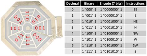 Encoding Method Of The Octagonal Shaped Sensor Download Scientific