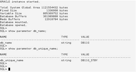 Bases De Datos De La Universidad De El Salvador Oracle Data Guard 11g