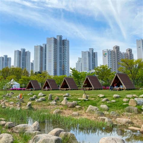 김포 한강신도시 호수공원 나들이 음악분수 장미원 텐트 피크닉존 가볼만한곳 네이버 블로그